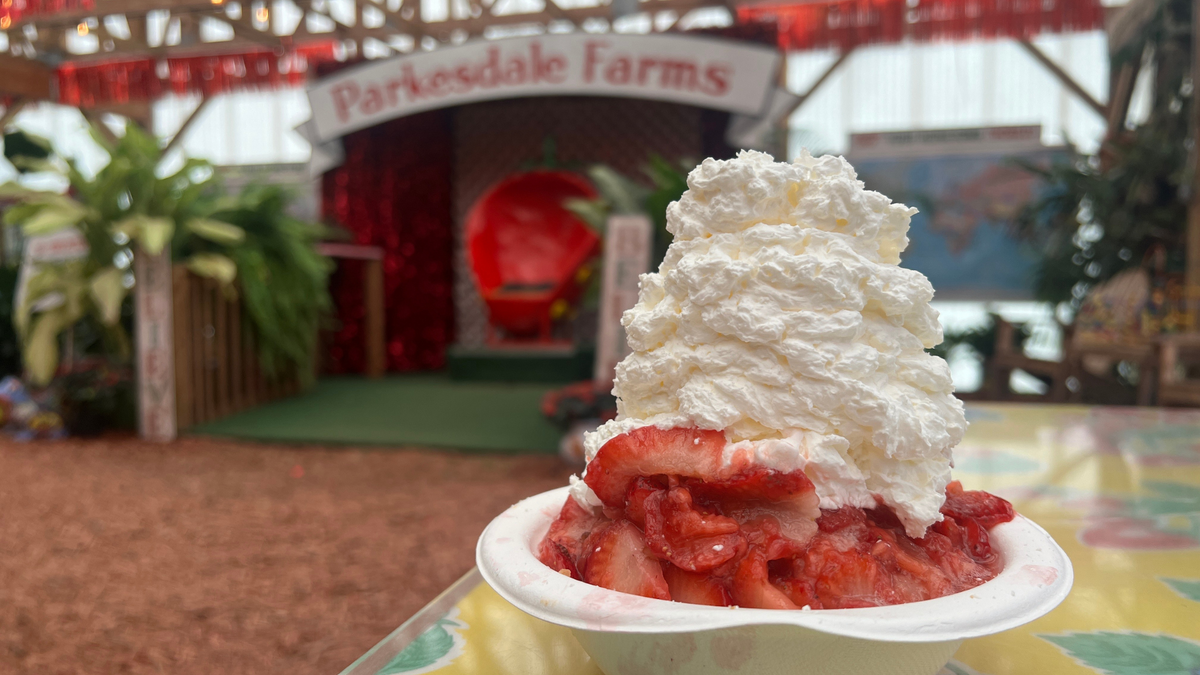 Worlds Best Strawberry Shortcake| Parkesdale Market| Plant City, Florida